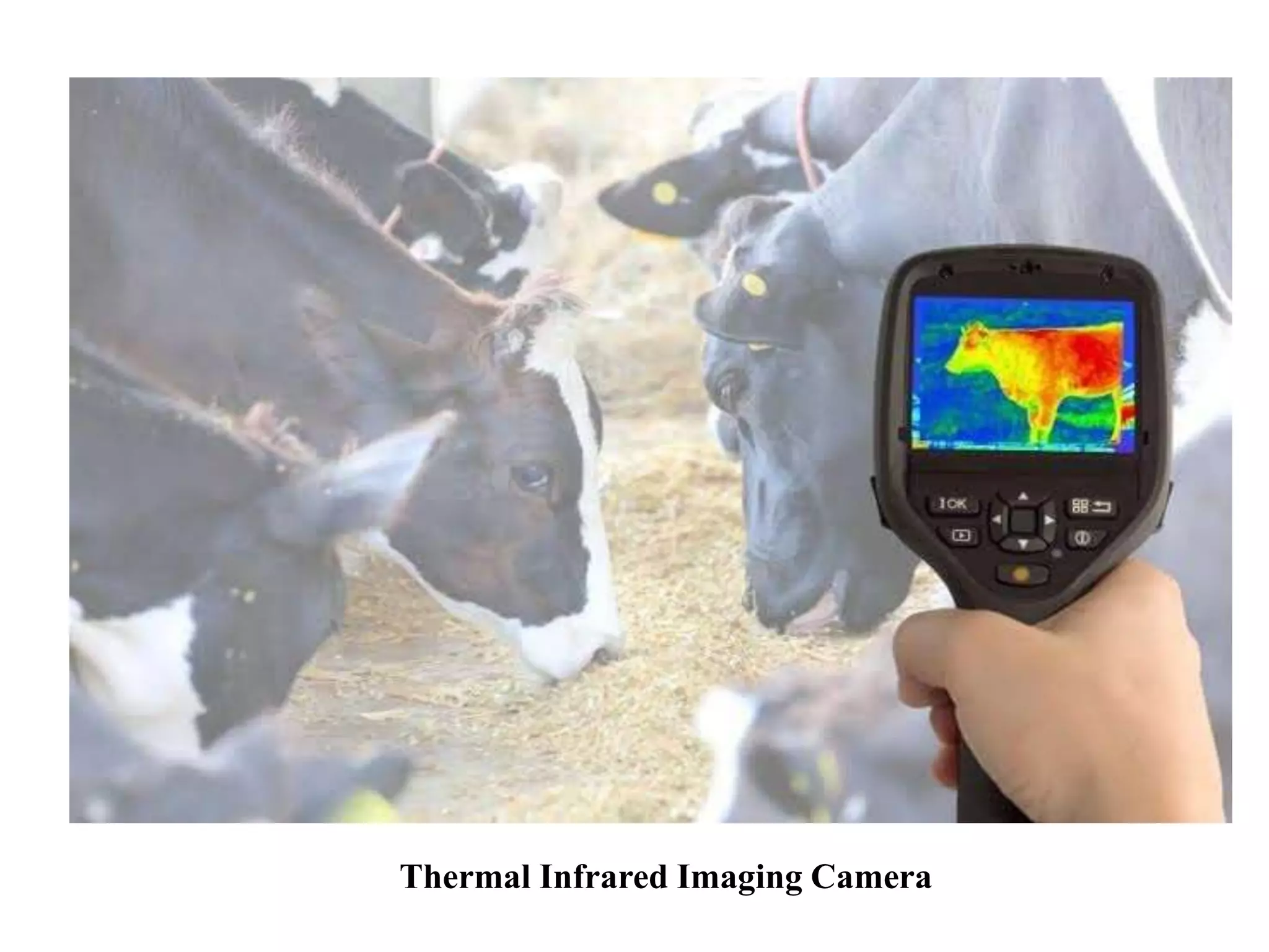 Digital livestock Farming | PPTX