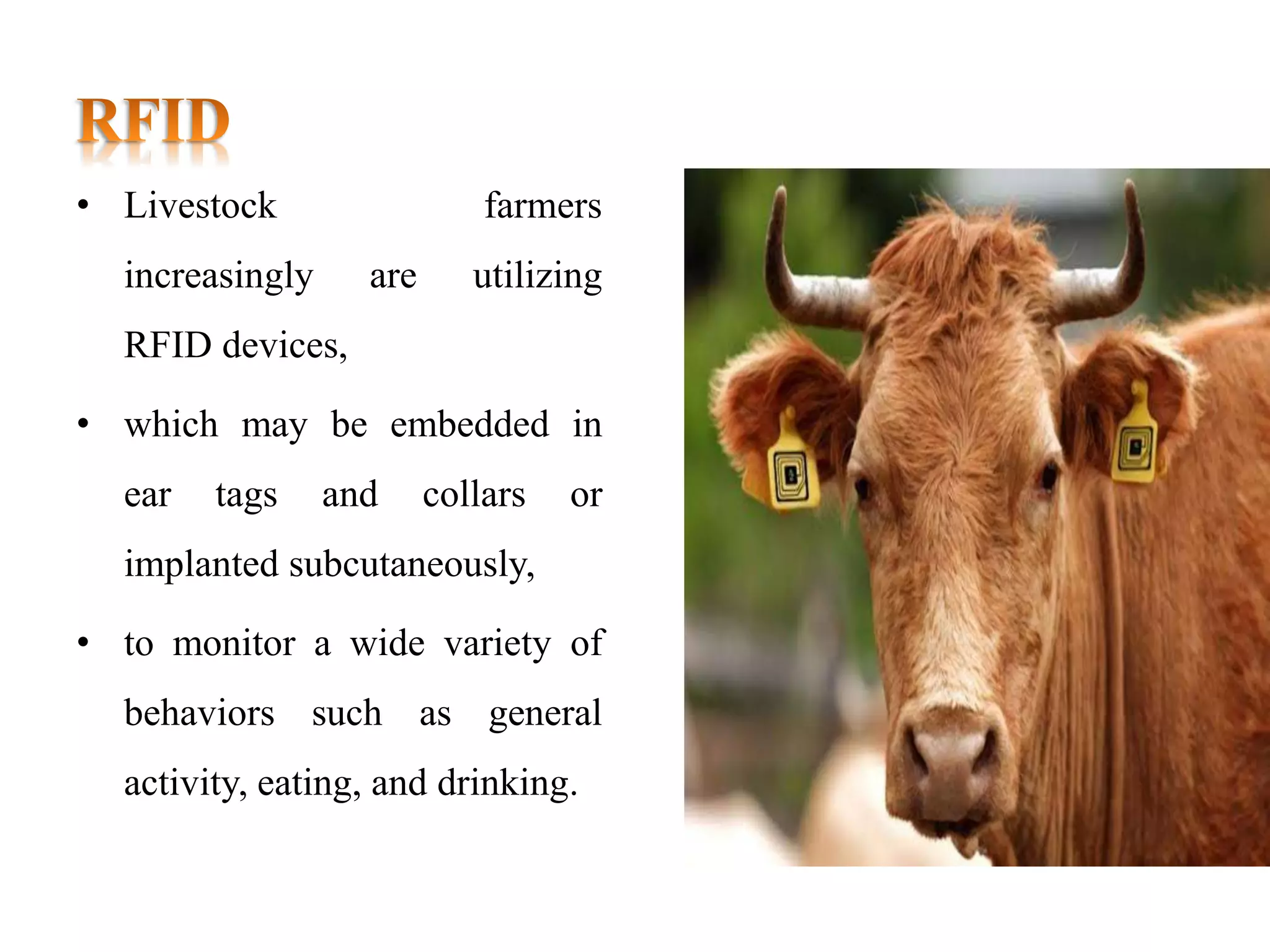 Digital livestock Farming | PPTX