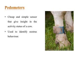 Digital livestock Farming | PPTX