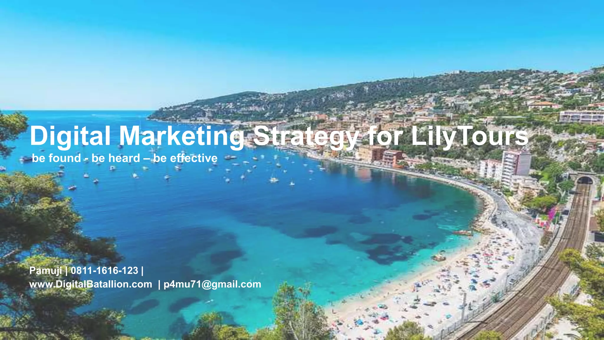 Digital Marketing Plan for Tour and Travel Agency | PPT