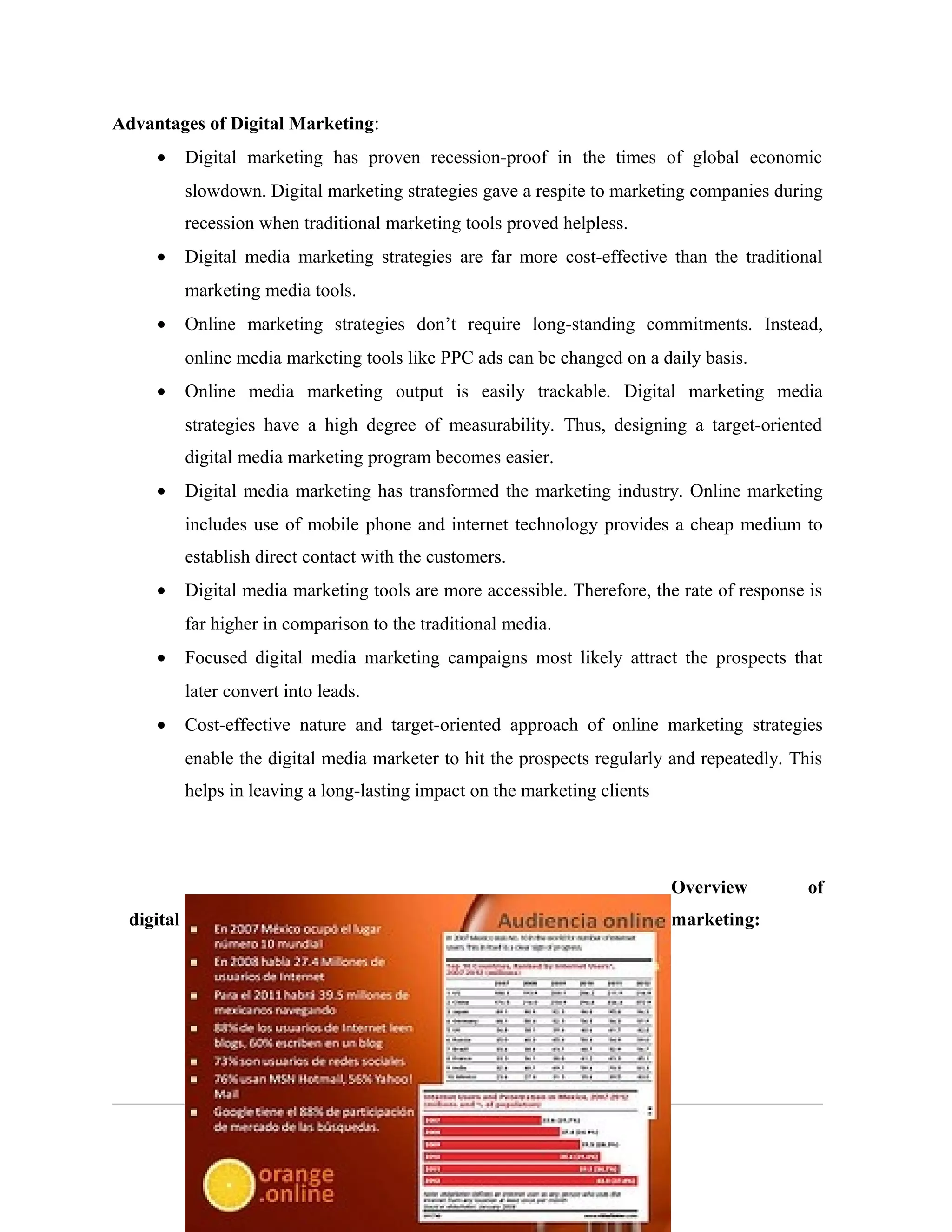 Digital marketing project | DOC