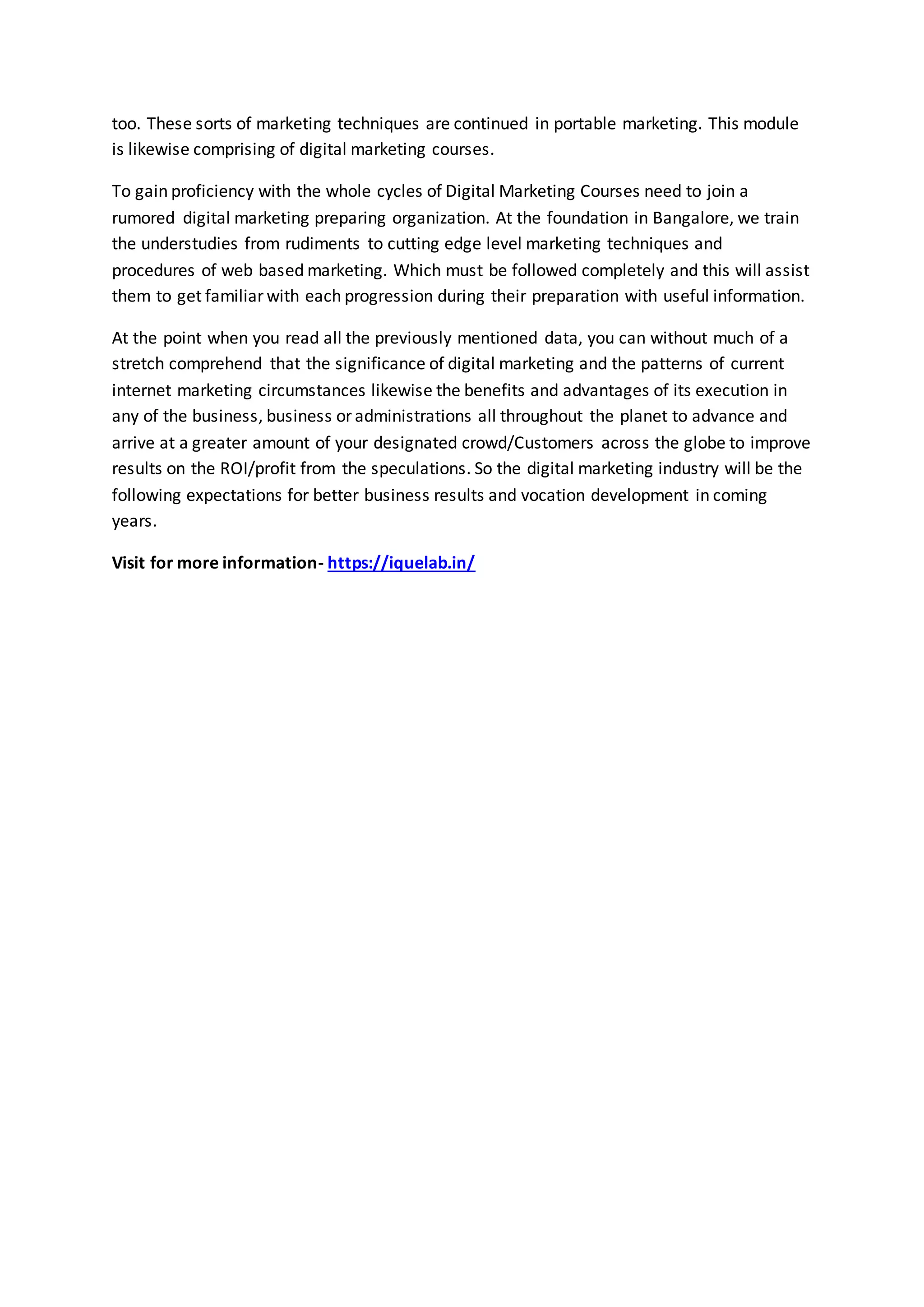 Digital marketing project | PDF