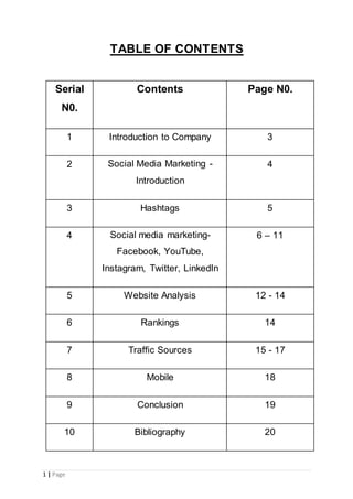 Digital marketing report | DOCX | Web Development | Internet