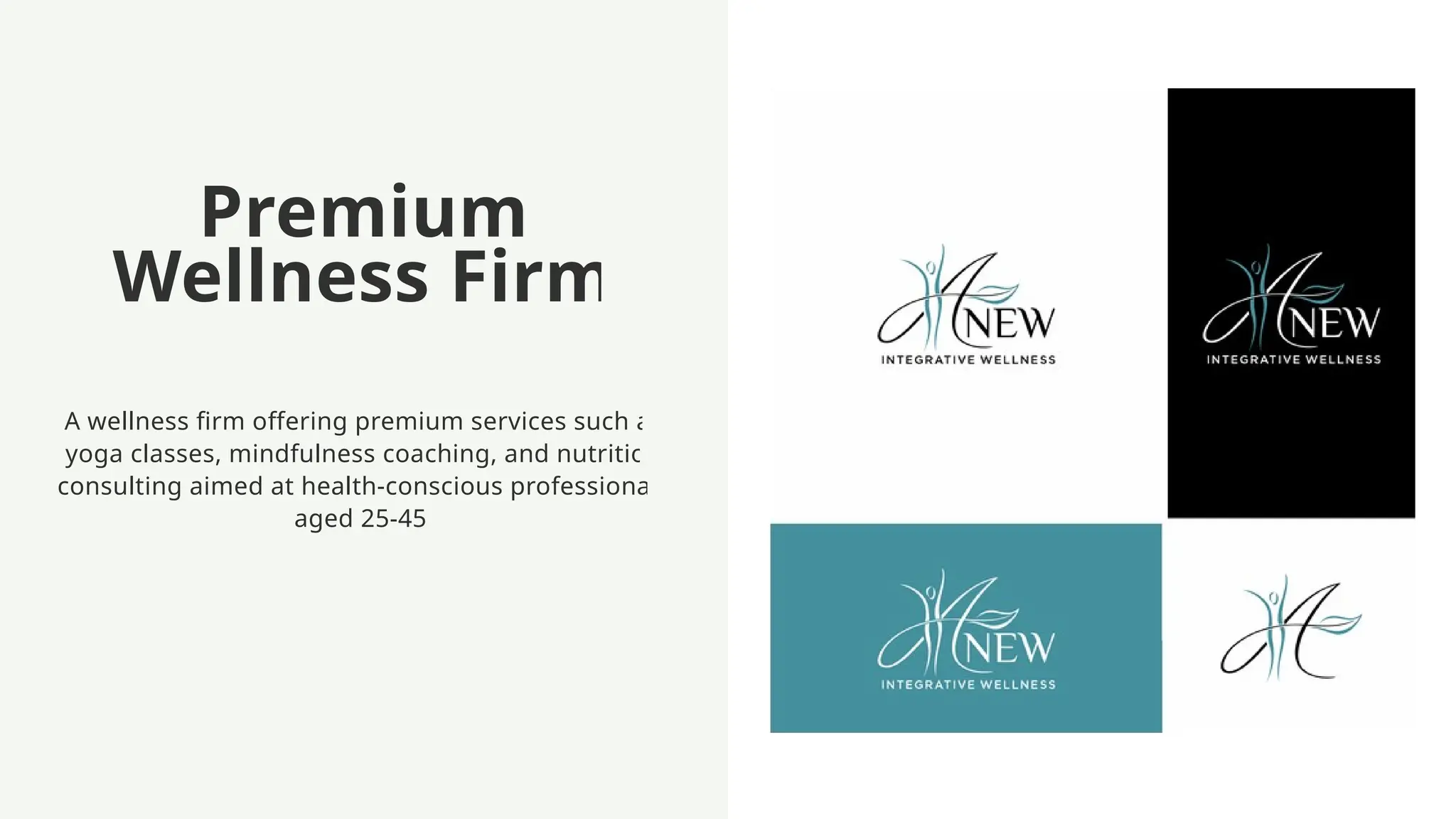 Digital Marketing Strategy for a Wellness Firm.pptx