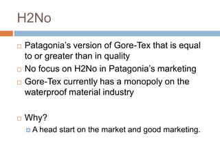 Patagonia's H2No Digital marketing plan | PPTX