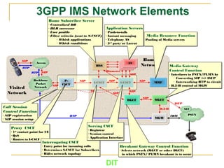 Digital network lecturer4 | PPT | Internet | Computing