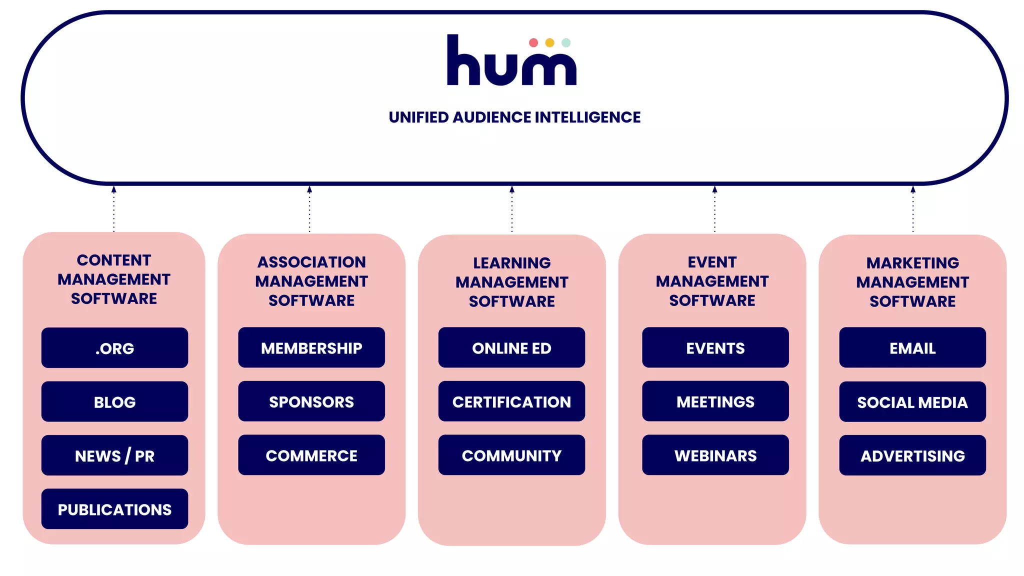 An Introduction to Audience Strategy | PPT