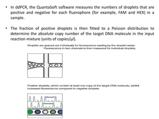 Digital PCR.pptx | Chemistry | Science