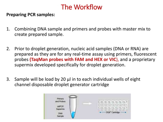 Digital PCR.pptx | Chemistry | Science