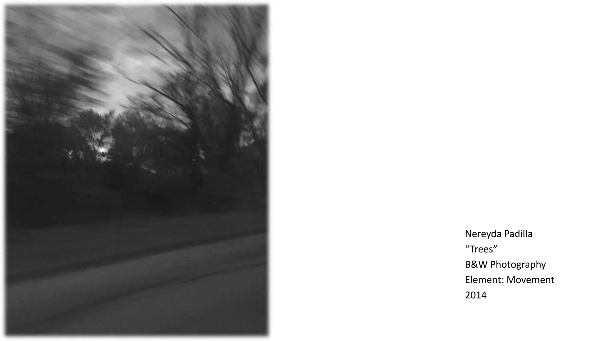 Digitalphoto1 | PPTX | Design | Fine Art