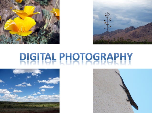 Digital photography for kids | PPT | Cameras and Camcorders | Consumer ...