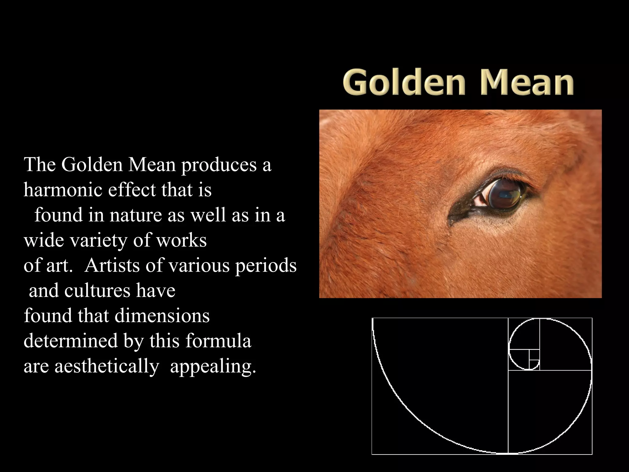 Digital Photography Composition- Part II | PPT