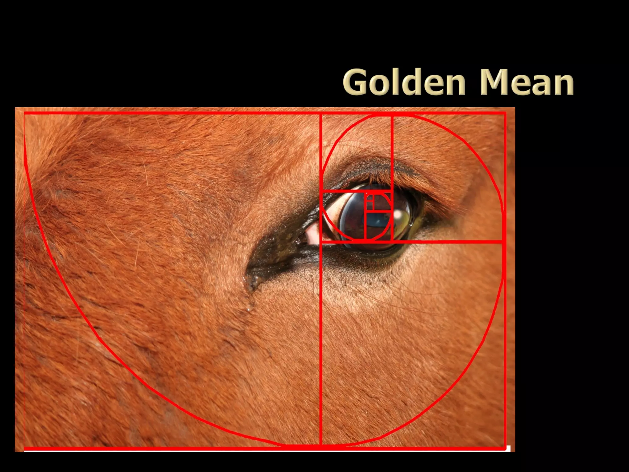 Digital Photography Composition- Part II | PPT