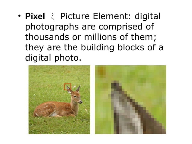 Digital Photography Introduction | PPT | Cameras and Camcorders ...