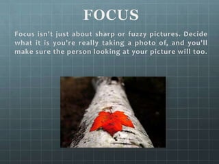 Digital Photography Intro | PPTX | Internet for Beginners | Internet