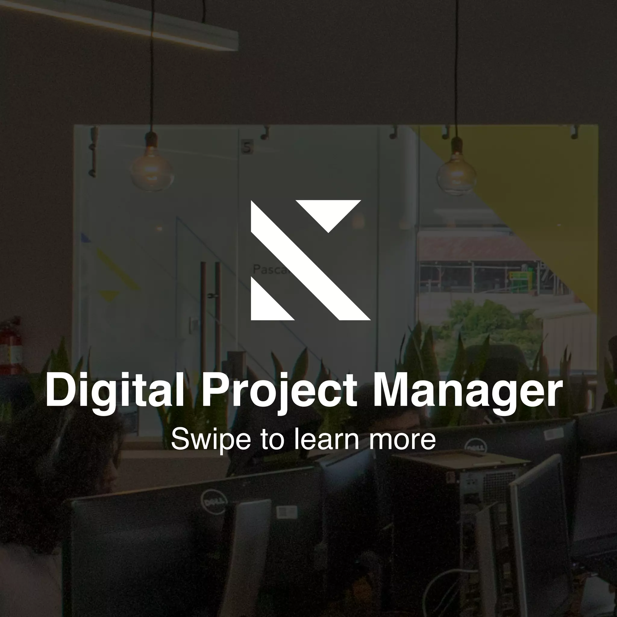 Digital Project Manager | PDF