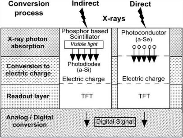Digital Radiography