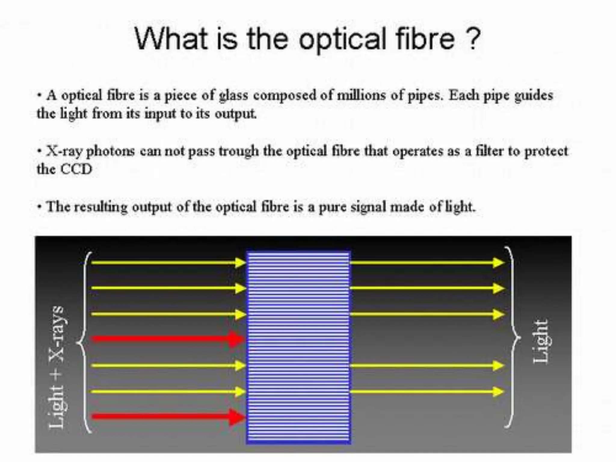 digital radiography in Dentistry: Direct and Indirect Technology | PPT