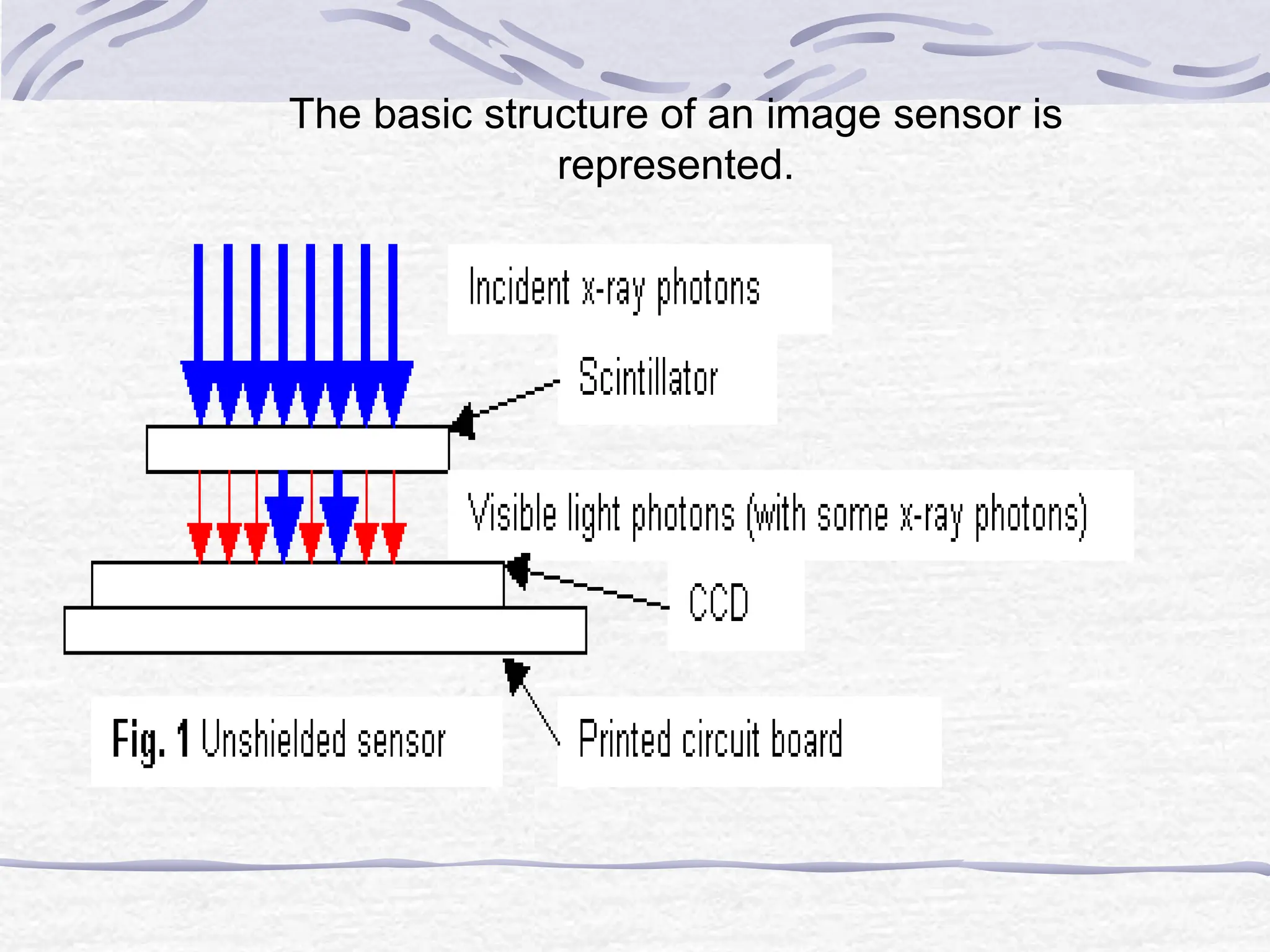 digital radiography in Dentistry: Direct and Indirect Technology | PPT