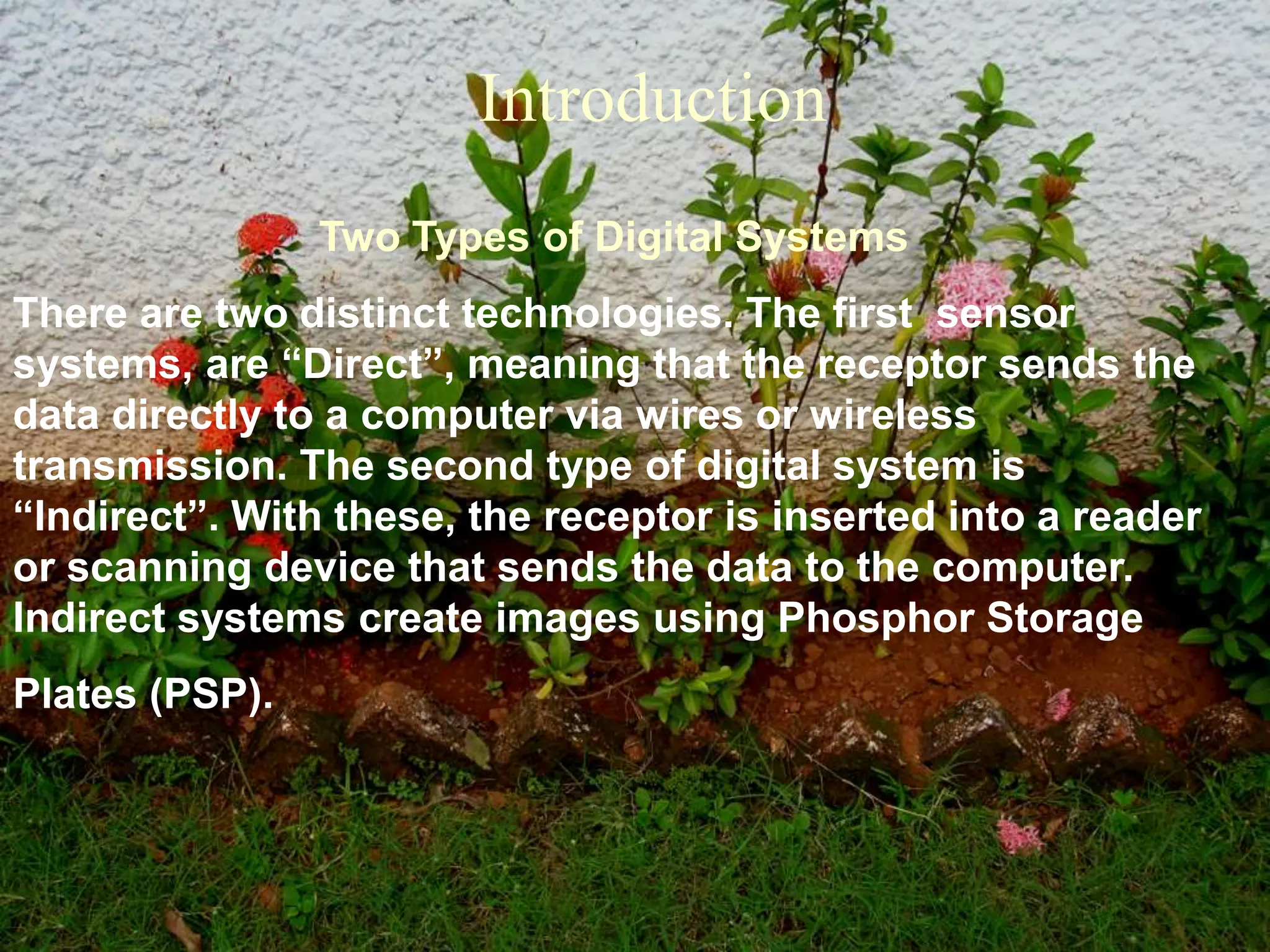 digital radiography in Dentistry: Direct and Indirect Technology | PPT