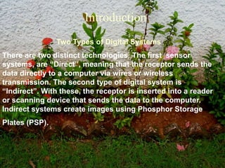 digital radiography in Dentistry: Direct and Indirect Technology | PPT