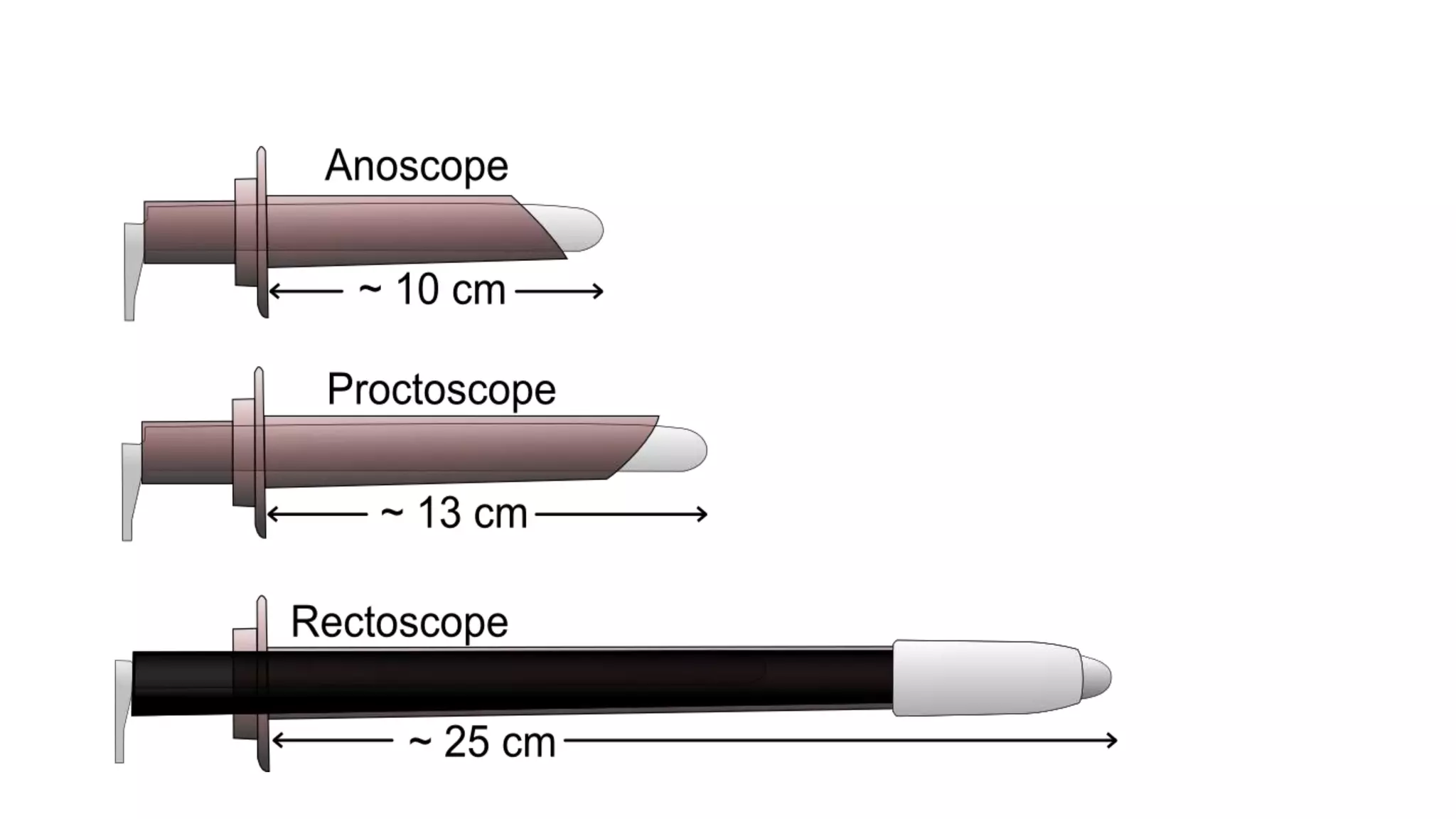 Digital rectal examination.pptx @ | PPTX