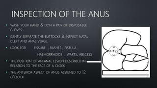 Digital rectal examination.pptx @ | PPTX