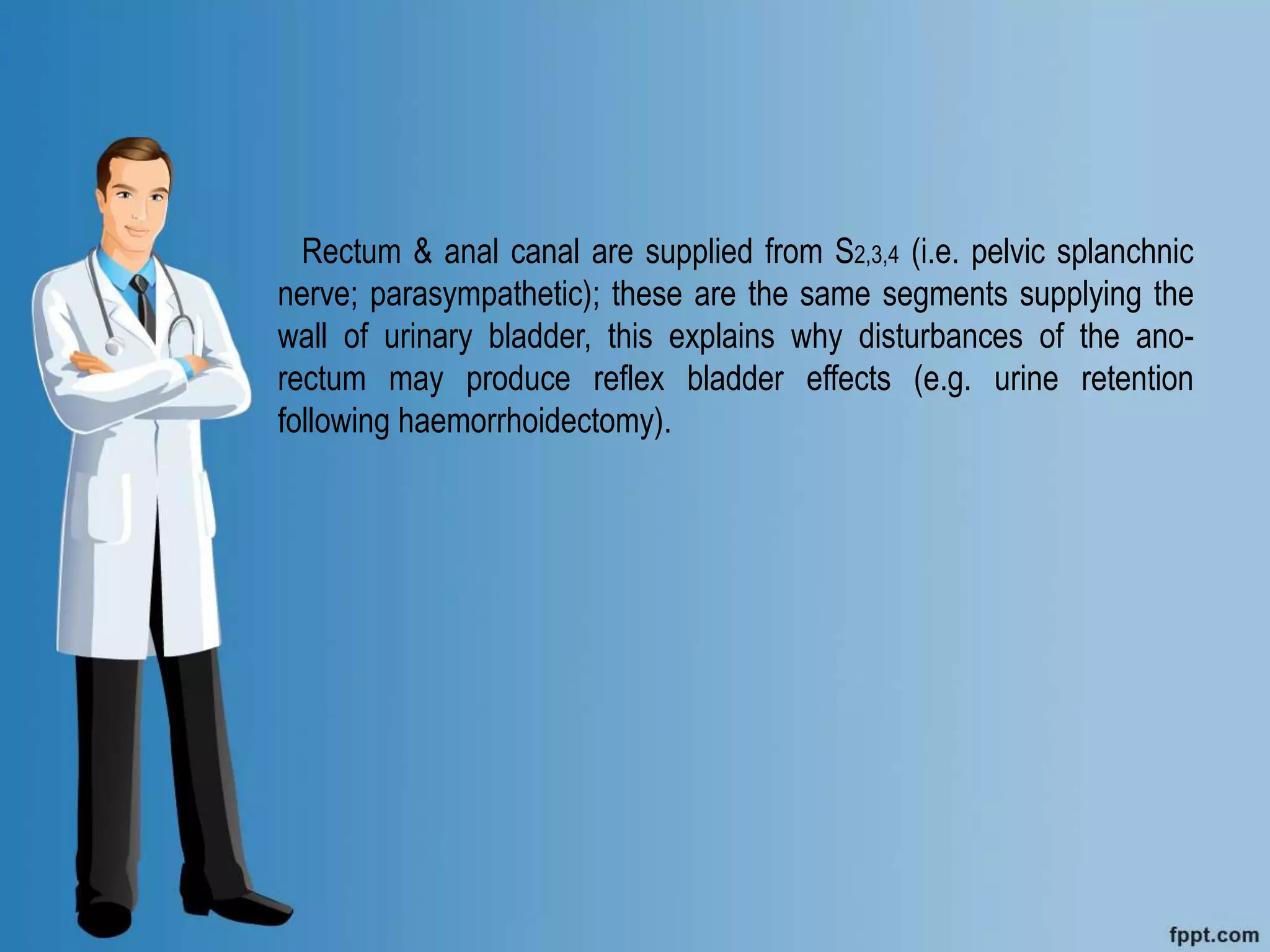 Digital Rectal Examination for Surgical Trainees | PPT