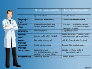 Digital Rectal Examination for Surgical Trainees | PPT