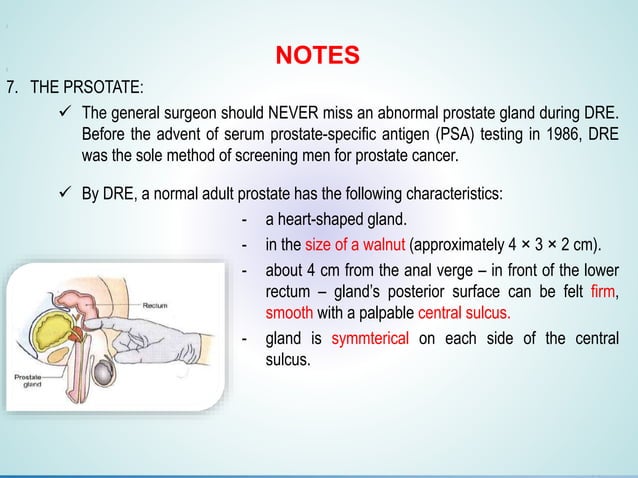 Digital Rectal Examination for Surgical Trainees | PPT