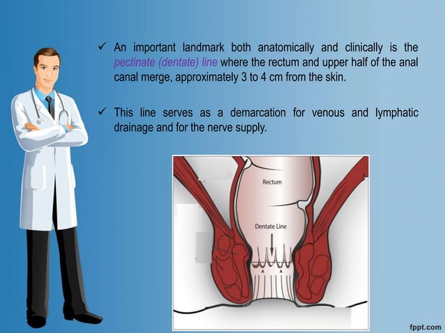Digital Rectal Examination for Surgical Trainees | PPT