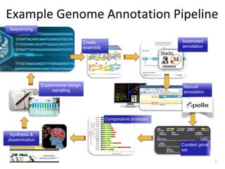 (Digital resources) quick and easy genome annotation editing with apollo | PPT