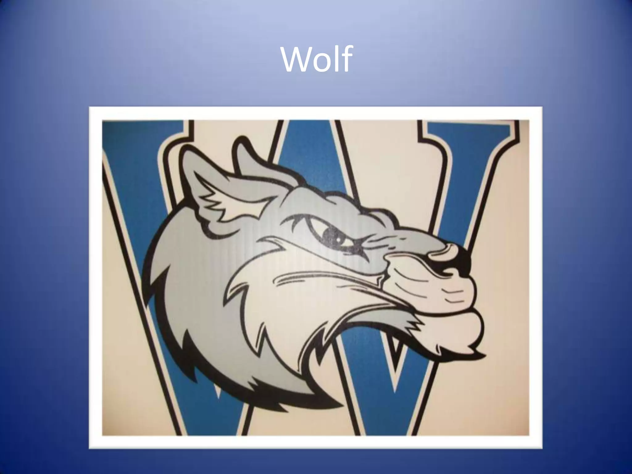 Digital scavenger hunt | PPT