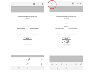 Digital signature adobe reader | PDF