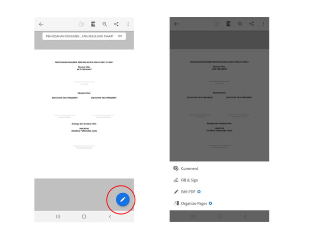 Digital Signature Adobe Reader digital-signature-adobe-reader