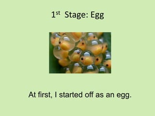 Digital storytelling example | PPTX