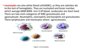 digital text correct.pptx