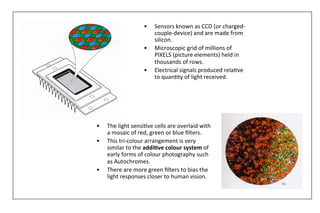 Digital Theory 1.pdf