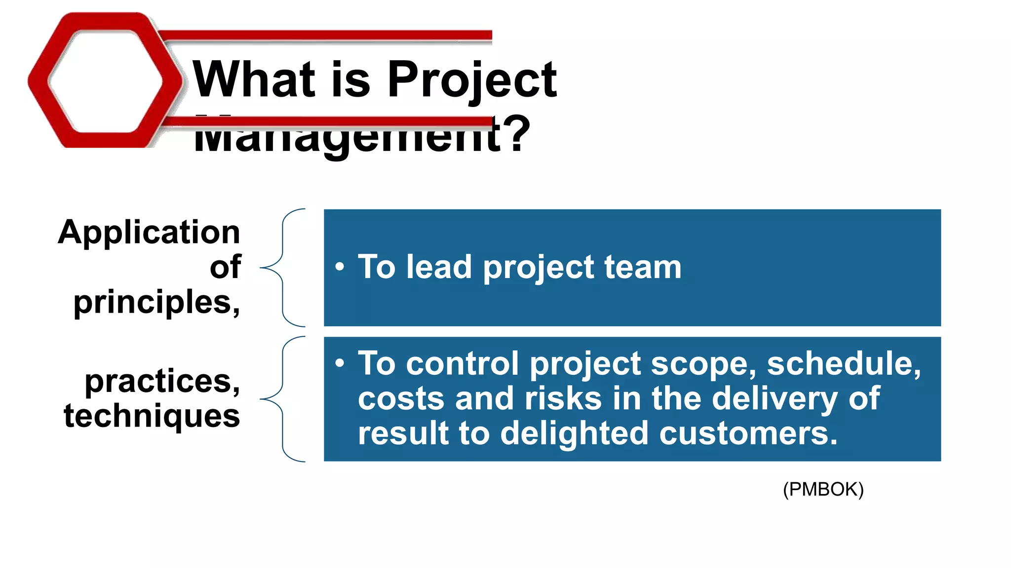 Project Management Competency Guide for Digital Transformation | PPTX ...