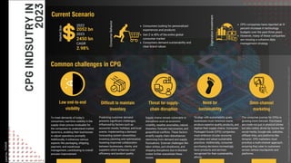 Digital Twins Case Study in CPG Industry | PDF