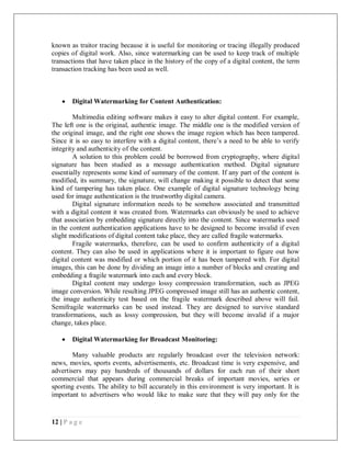 Digital water marking system project report | PDF