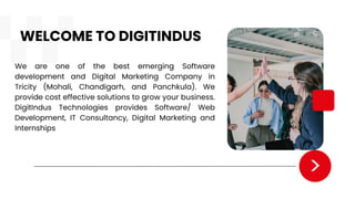 Didit Indus Technologies Pvt.Ltd. Company Profile | PDF