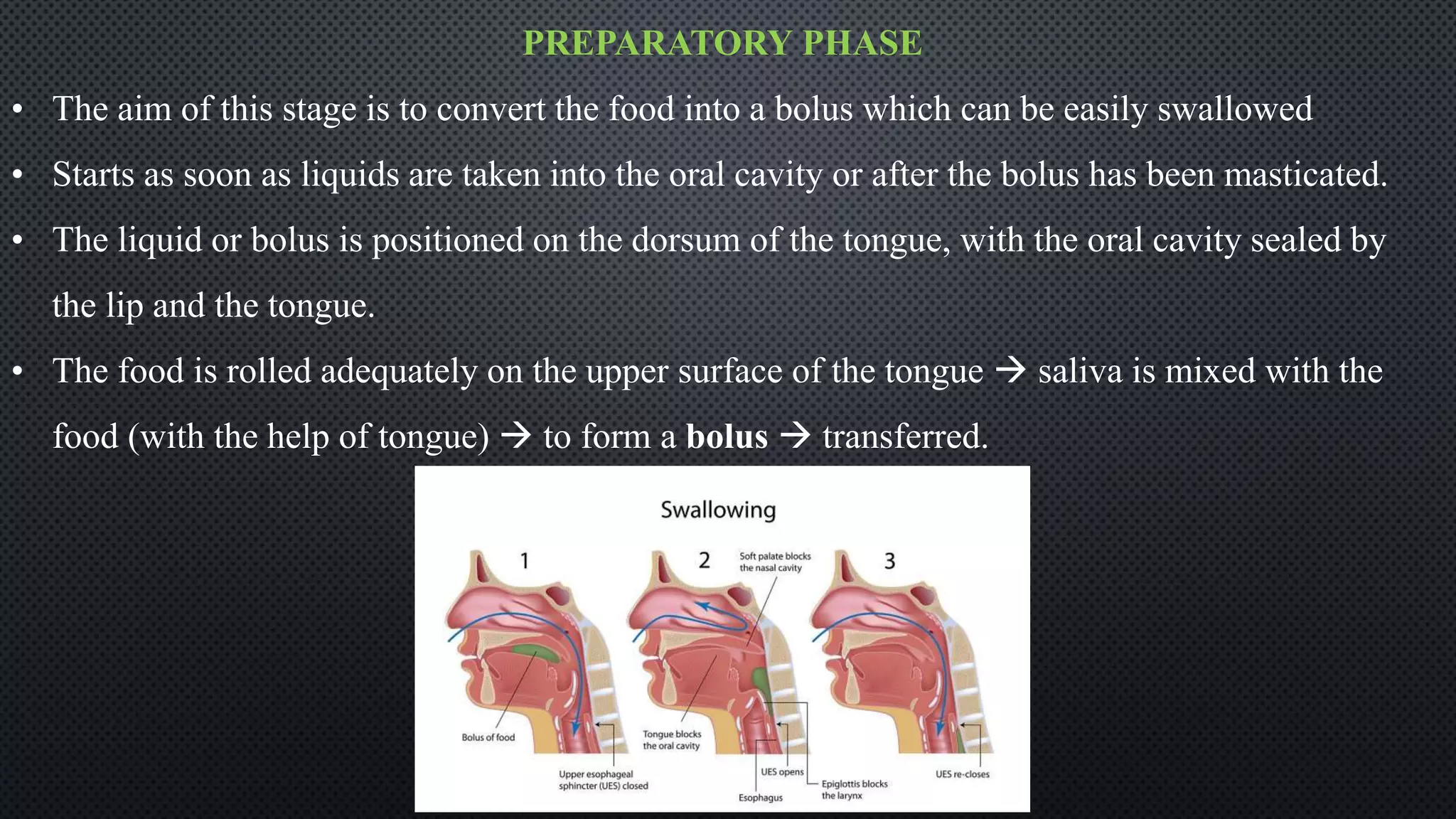 DEGLUTTITION (SWALLOWING) | PPTX