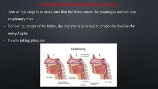 DEGLUTTITION (SWALLOWING) | PPTX