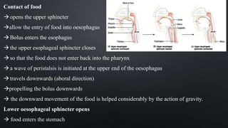 DEGLUTTITION (SWALLOWING) | PPTX