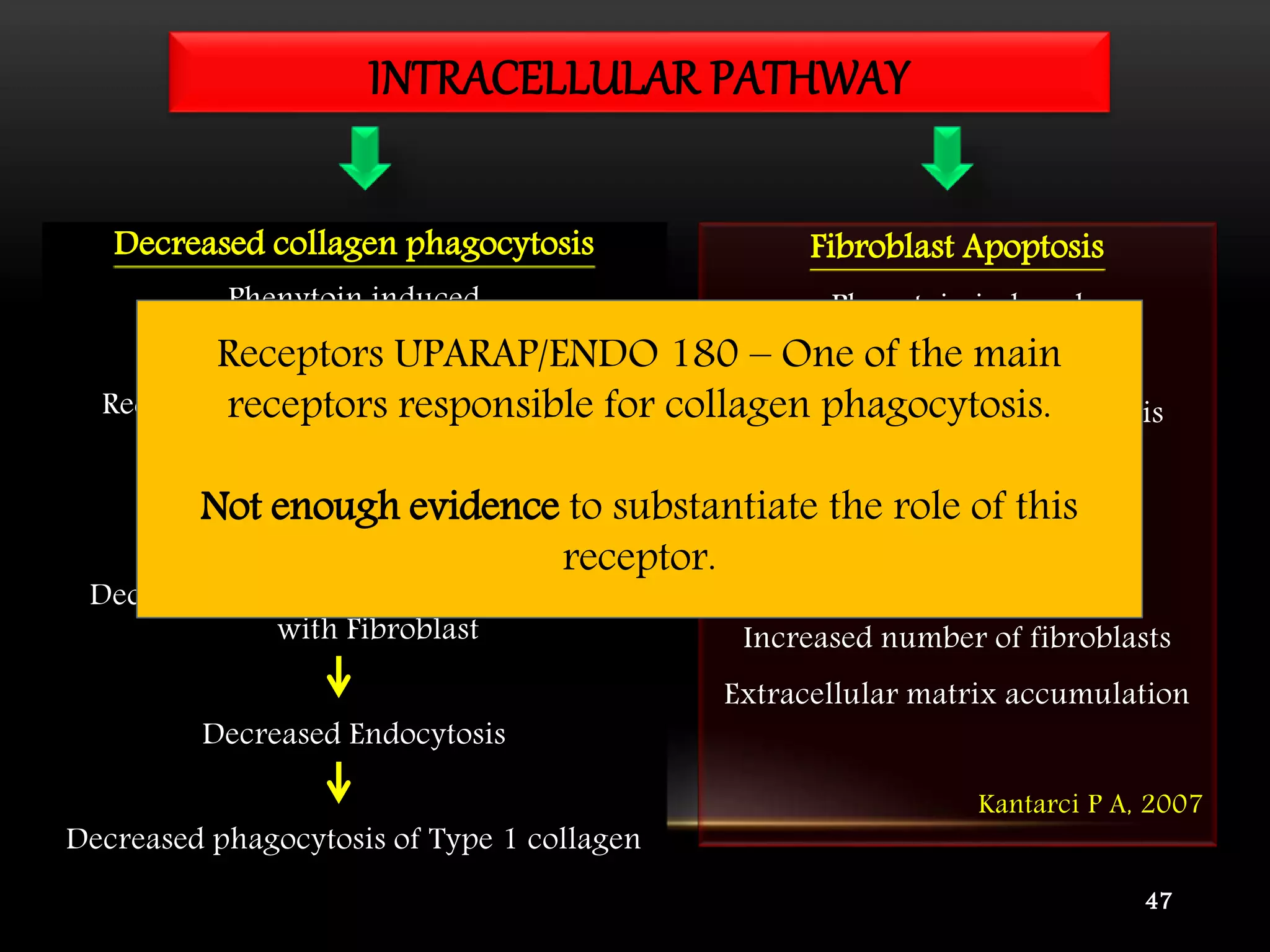 DRUG INDUCED GINGIVAL ENLARGMENT (DIGO) | PPTX