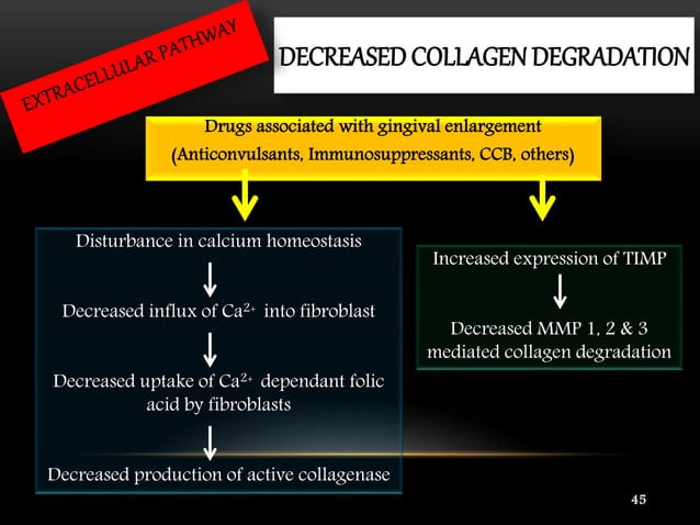 DRUG INDUCED GINGIVAL ENLARGMENT (DIGO) | PPTX | Dental Health ...