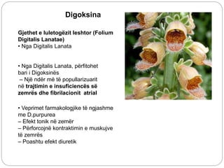 Digoksina | PPT