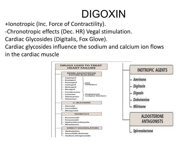 Digoxine Dr.Z Pharmacy Practice Lecture | PPT
