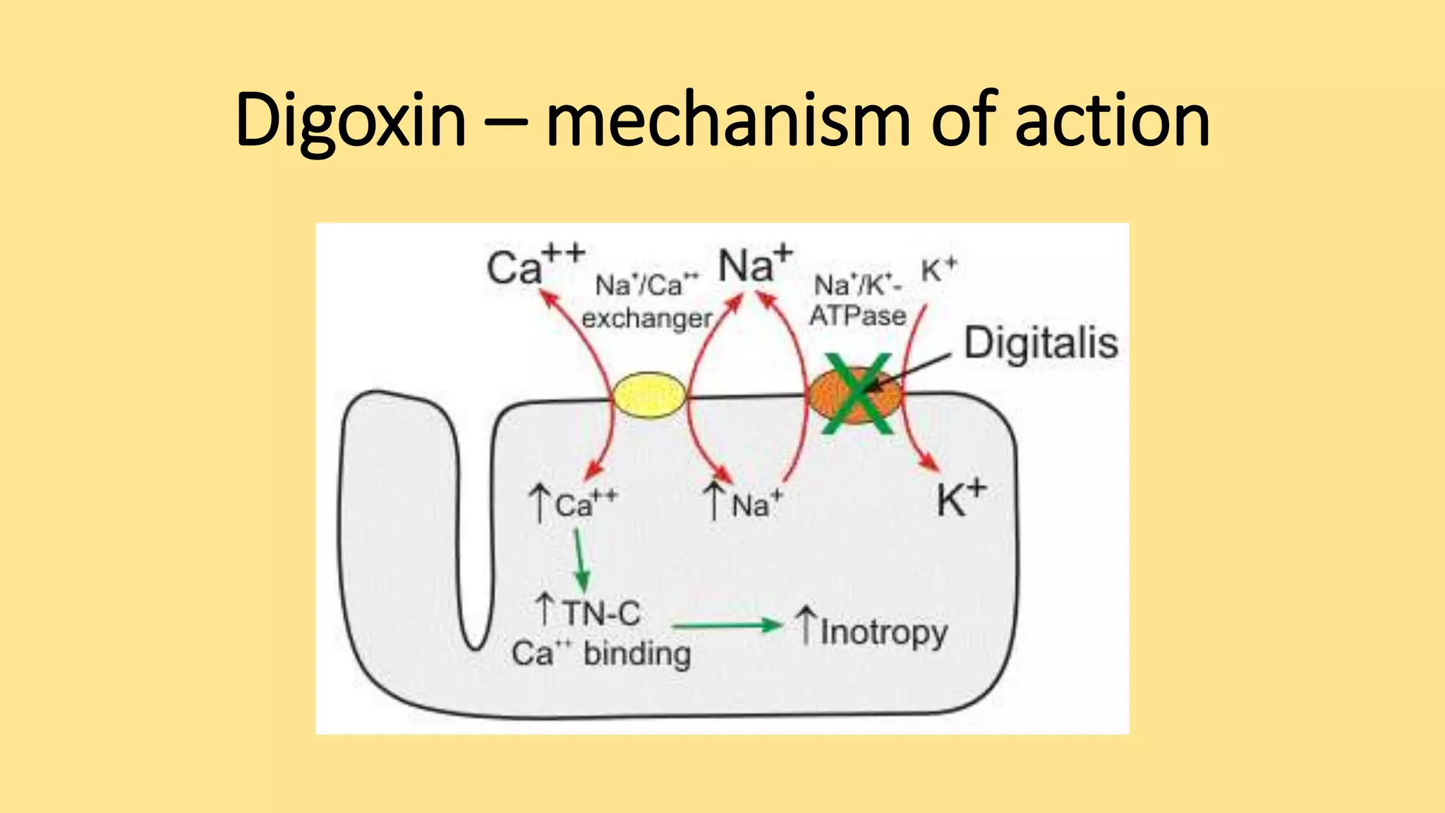 Digoxin journal club | PPT